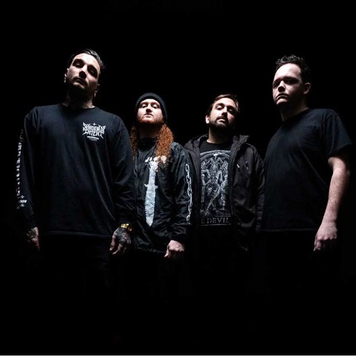 Signs of the Swarm Merch - Contact